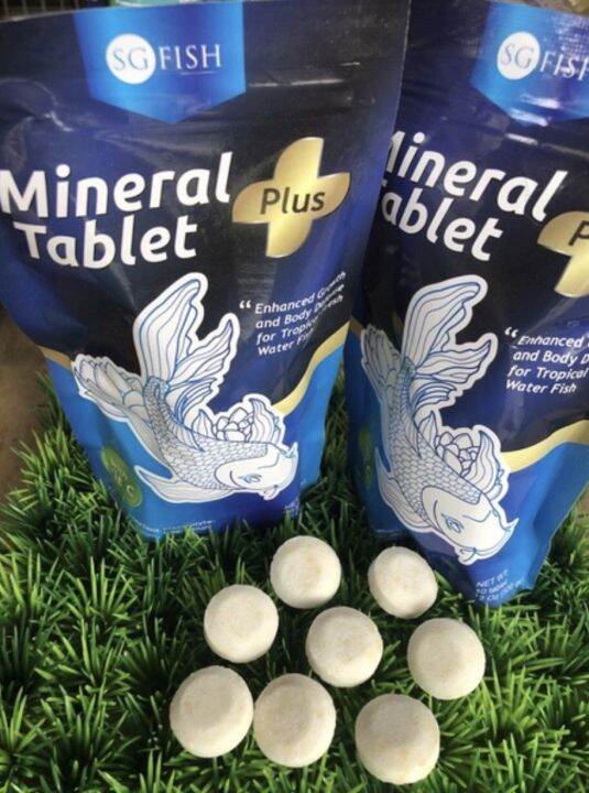 SG FISH MINERAL TABLET PLUS VITAMIN C ISI 5 TABLET GARAM SASET | Lazada ...