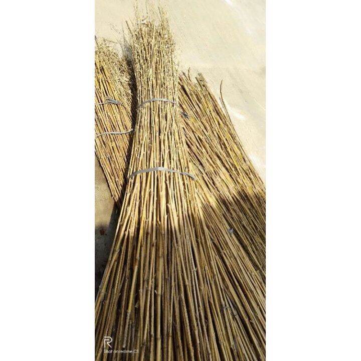 Bambu Cendani Lurus Natural | Lazada Indonesia