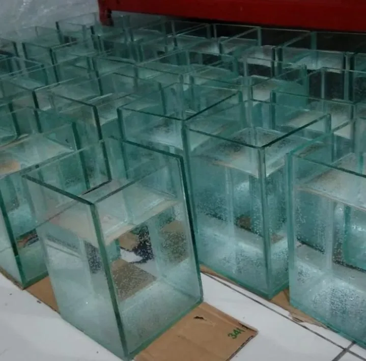 aquarium ikan cupang Soliter 10X10X15 | Lazada Indonesia