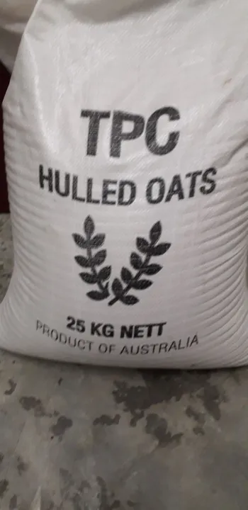 Oat untuk burung/oat for bird | Lazada