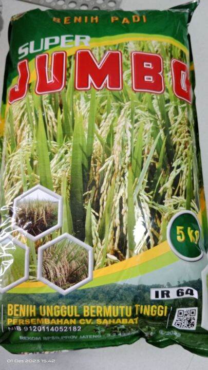 BENIH PADI IR 64 Super Jumbo kemasan (5KG) | Lazada Indonesia