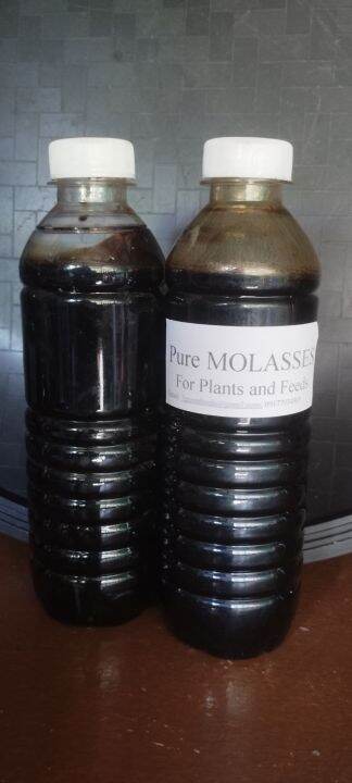 Pure molasses for plants. and feeds | Lazada PH