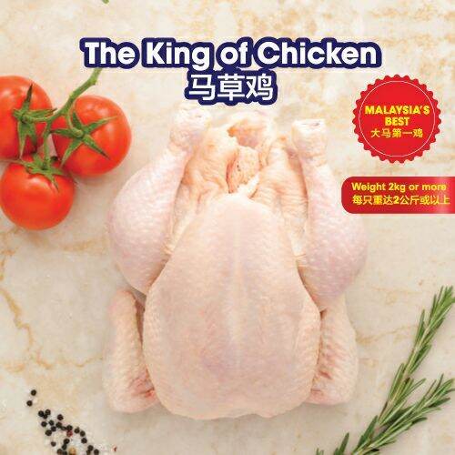 Macao Chicken | Lazada