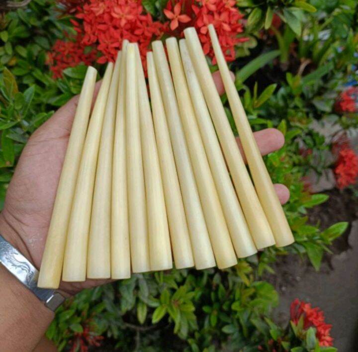 Pipa Tulang Kuning Gading 12 cm - 14 cm Pipa Kuning Gading | Lazada ...