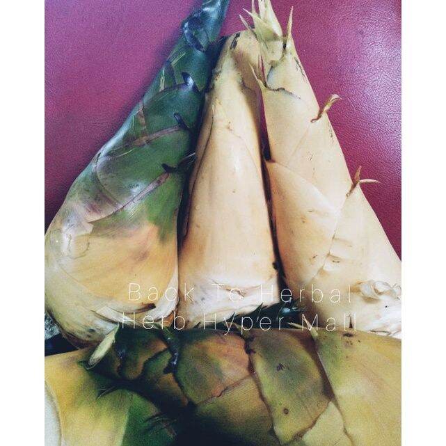 REBUNG BAMBU KUNING ORIGINAL SEGAR 1KG | Lazada Indonesia