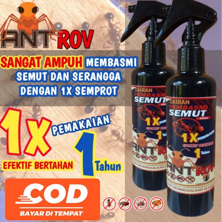 AntRov Racun semut semprot/pembasmi semprot 250ml super ampuh cairan ...