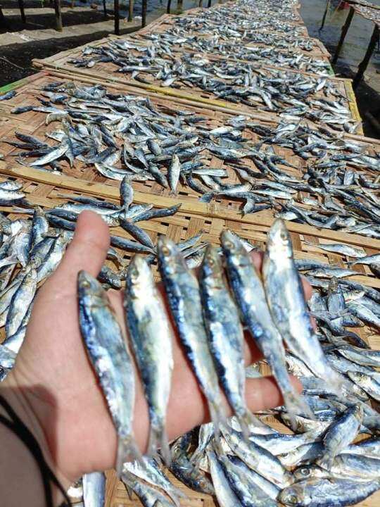 salinas na tuyo | Lazada PH