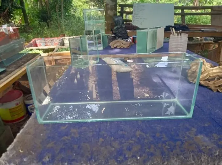 Soliter cupang ukuran 20x10x10 soliter selfie soliter mini soliter ...