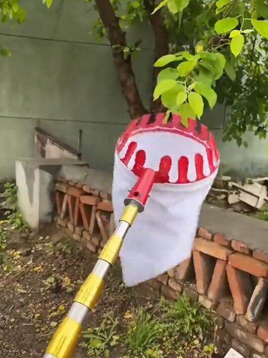 Fruit picker with long pole high branch shears galah moden pick sawing ...