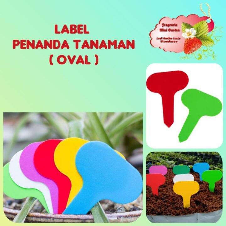 (10pcs) Label penanda tanaman /Label tanaman (oval) | Lazada Indonesia