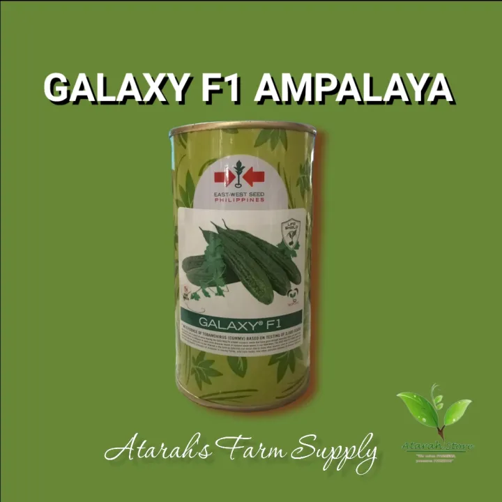 GALAXY F1 (100gms and 50gms) Ampalaya East West Seeds | Lazada PH