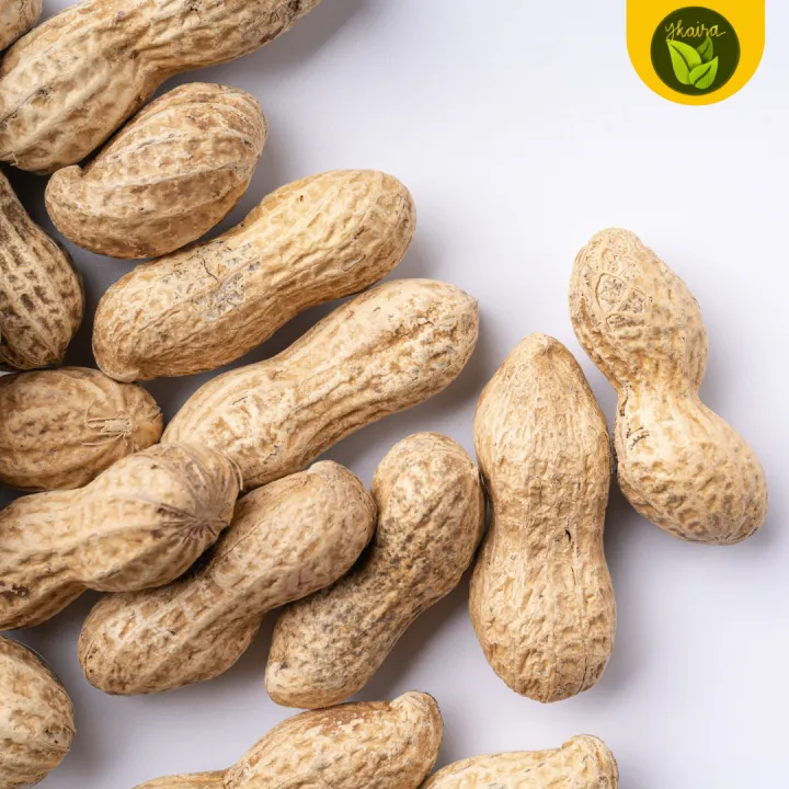 binhi 100 seeds for planting mani peanut | Lazada PH