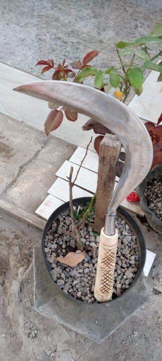 TERJAMIN - Arit Gagang Ukiran Super Tajam 39 Cm / Arit Baja PER Asli ...