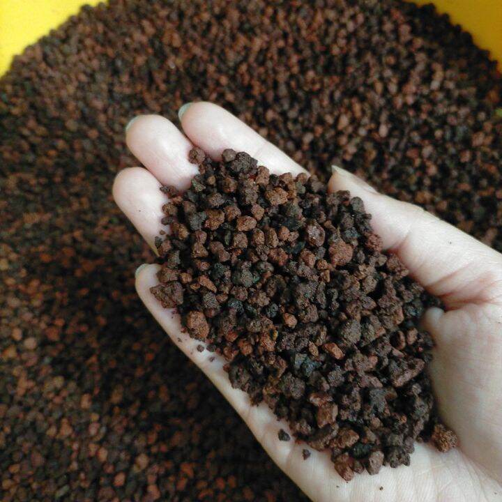 Volcanic Lava Chips 1kg | Lazada PH