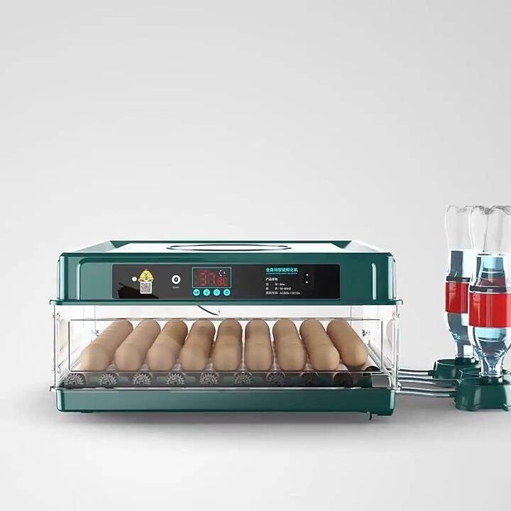 Automatic egg incubator temperature control incubator Single-layer egg ...