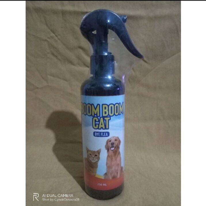 Boom Boom Cat Obat Kutu Hewan 250ml | Lazada Indonesia