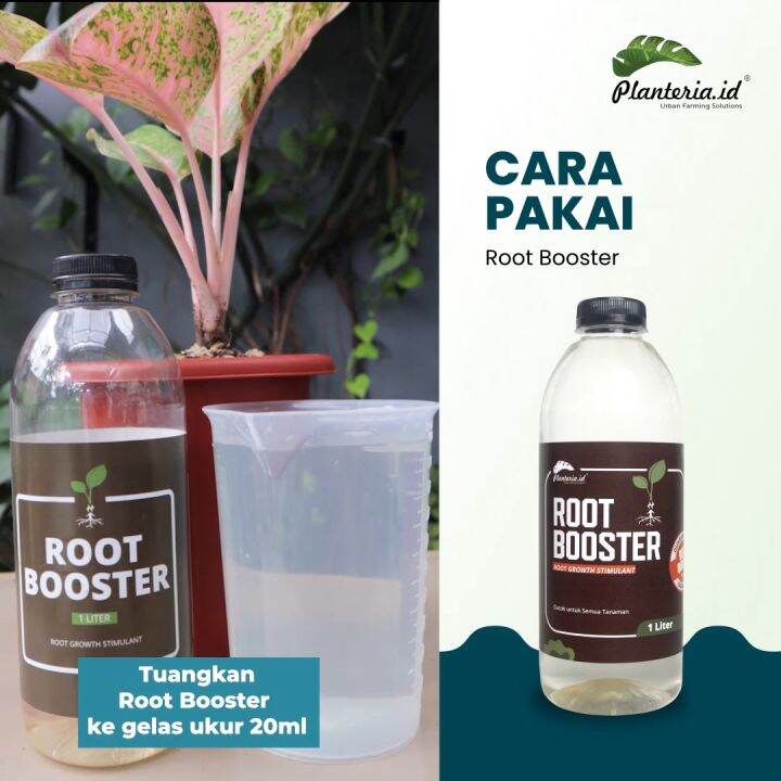 Root Booster Penumbuh Akar Tanaman | Lazada Indonesia