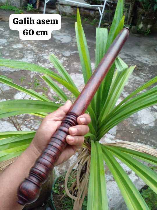TONGKAT KAYU GALEH ASEM ASLI ORIGINAL 60 cm | Lazada Indonesia