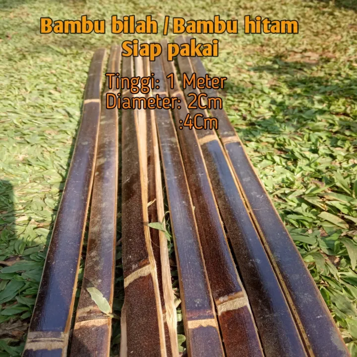 Bambu Bilah 1 Meter/Bambu Hitam/Turus Ajir Tanaman/Bambu Pagar/Kandang ...