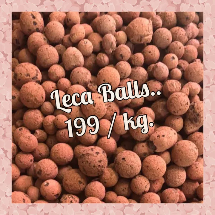 Leca Balls 1kg IMPORTED | Lazada PH