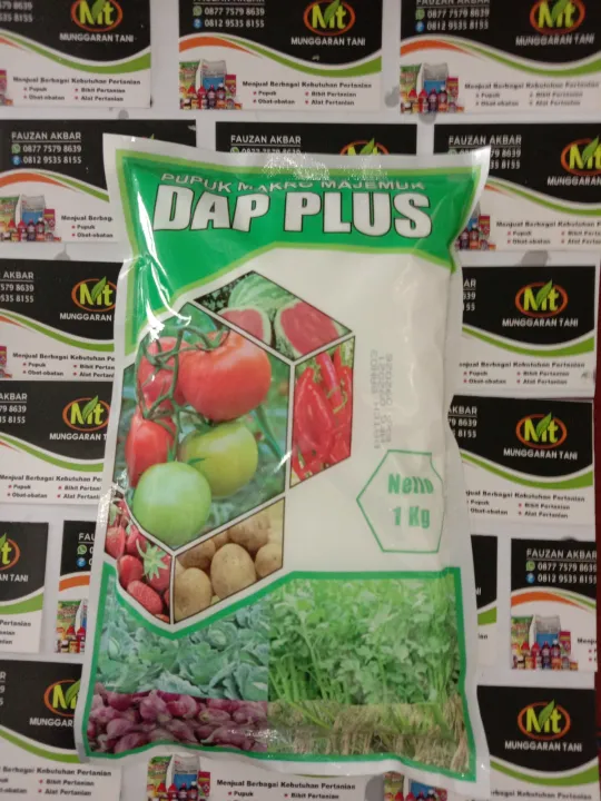MEMPERCEPAT PERTUMBUHAN TANAMAN/ PUPUK DAP PLUS 1 KILO..MEMACU ...