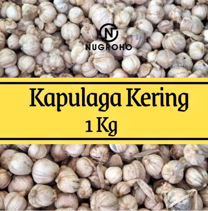 Kapulaga Kering 1 Kg | Lazada Indonesia