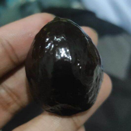 Muncang adu jawa si ori kemiri | Lazada Indonesia