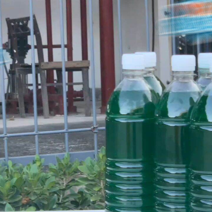 Dishwashing Liquid Kit DIY (17 Liters Yield) Upgraded 10 components ...