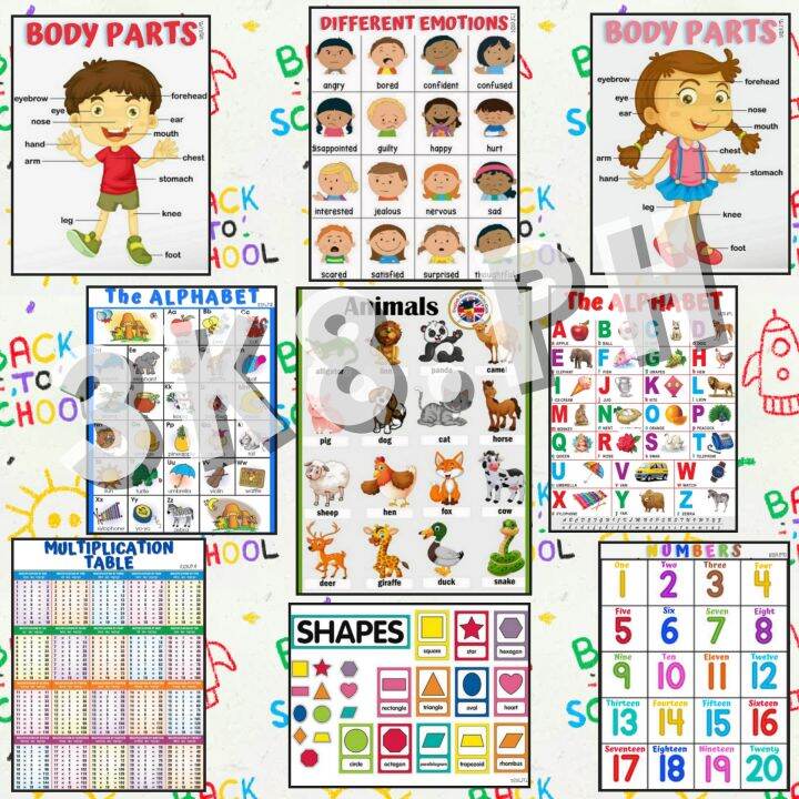 250 Microns LOWEST PRICE! QUALITY LAMINATED EDUCATIONAL WALL CHART ...