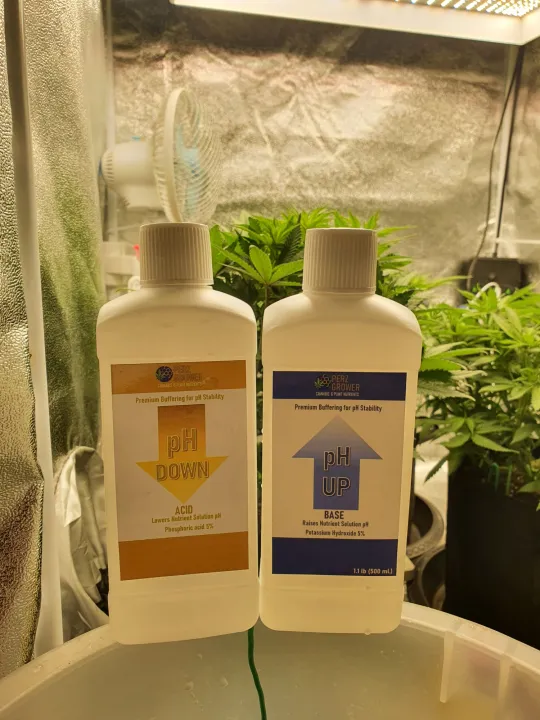 pH UP & pH DOWN น้ำยาปรับค่าน้ำ สำหรับต้นไม้ขนาด 500 ml. | Lazada.co.th