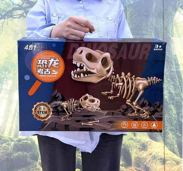 Dinosaur Fossil Archaeology Mining Toys Children's Handmade DIY ...