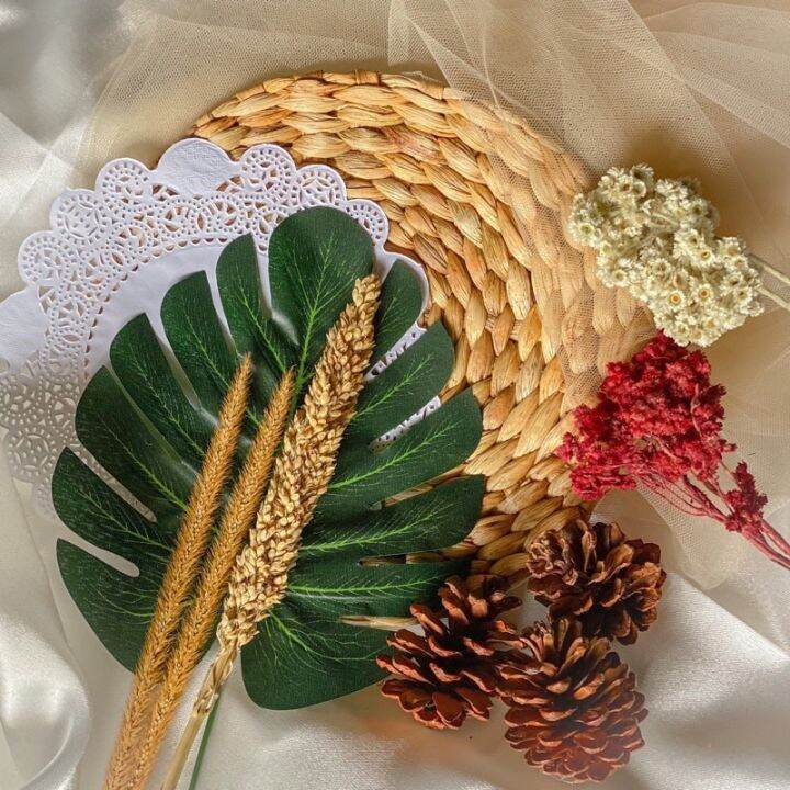 PAKET PROPERTI FOTO PRODUK AESTHETIC VERSI 6 | Lazada Indonesia