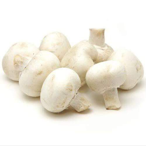 Jamur Champignon Fresh 1/2kg | Lazada Indonesia
