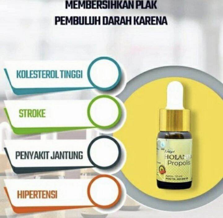 Holanda propolis original asli untuk kolestrol hipertensi stroke dan ...