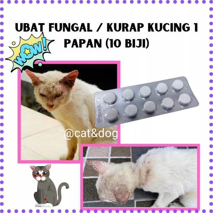 ubat fungus kurap& ringworm Kucing dan Anjing 10s | Lazada