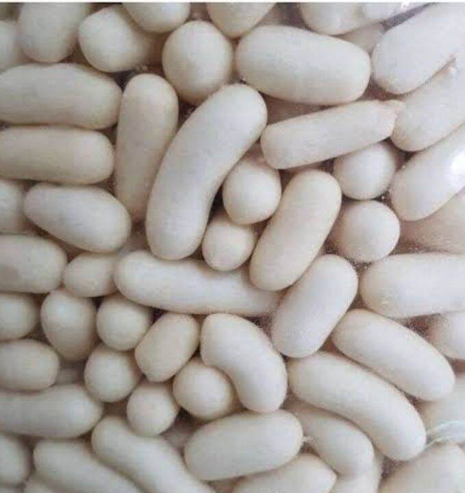 Pilus Jumbo 250 gr ( asin ) | Lazada Indonesia