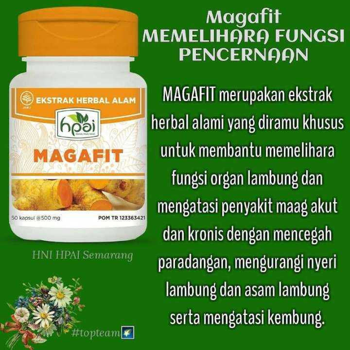magafit Hni hpai obat maag saluran pencernaan obat lambung maag kronis ...