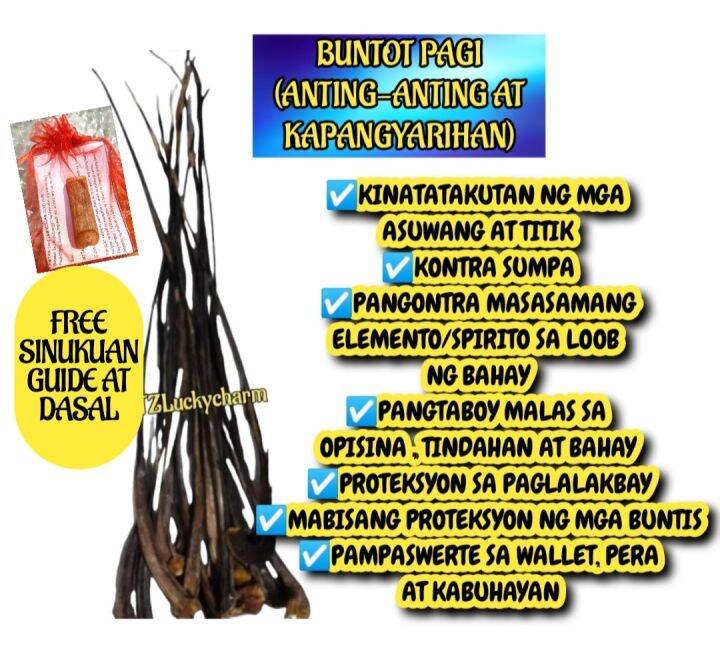 Buntot pagi(11 to 16 inches) Proteksyon sa masasamang Elemento ...