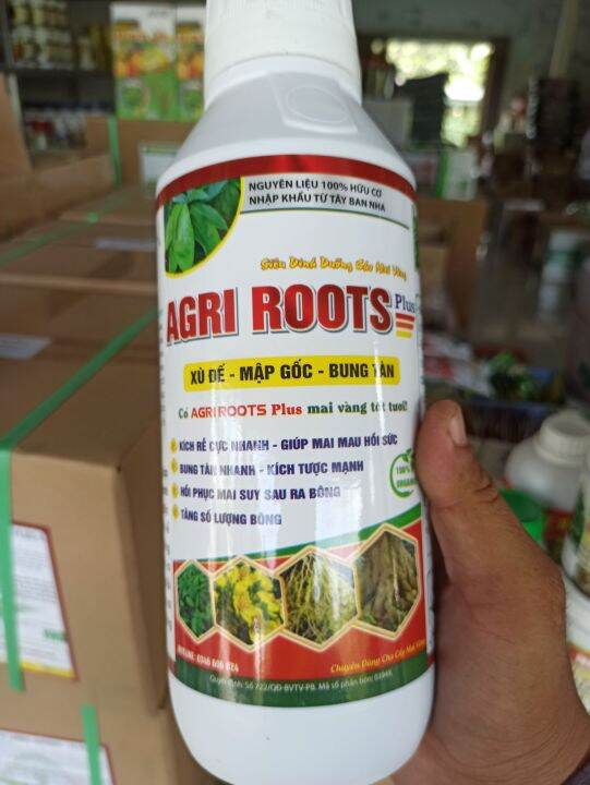 Phân bón Agri Roots Plus kích trễ bung tàn mập thân xanh cây mai vàng mẫu mới của Abroot chai 1 ...
