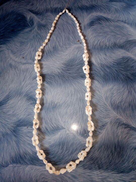 Sea shell leis strellieta Nassa necklace | Lazada PH