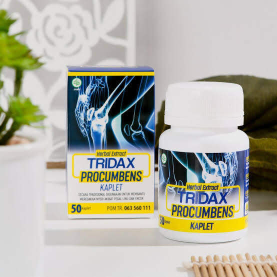 Tridak Procumbens Original Obat Asam Urat Dan Radang Sendi | Lazada ...