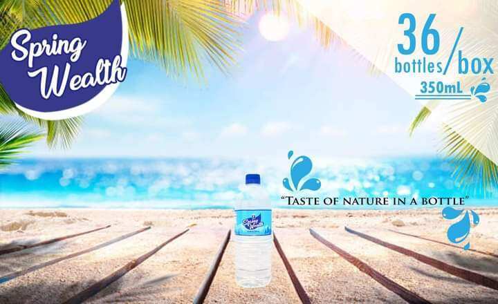spring wealth mineral water 350ml/box | Lazada PH