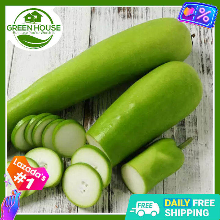 Green House - Upo Seeds for Planting Vegetable Plants (13 Seed) Bottle ...