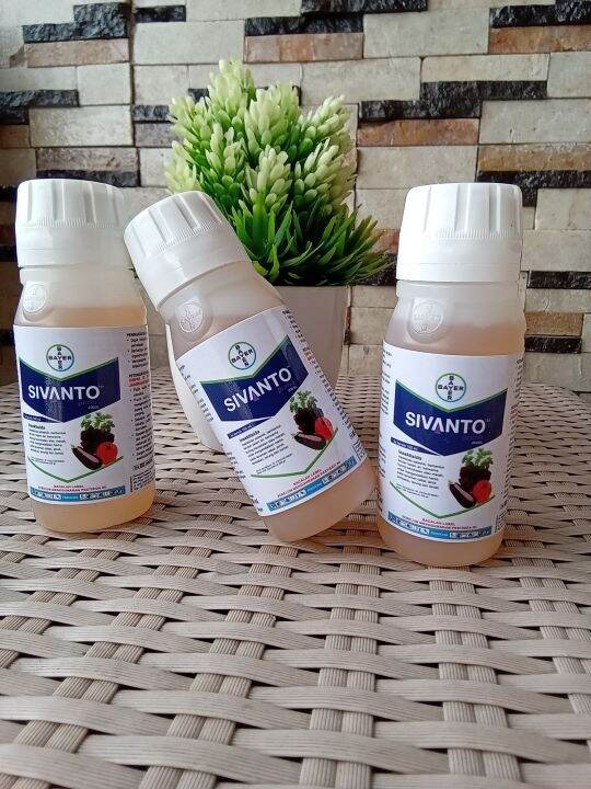 insektisida SIVANTO prime 200SL 100ml | Lazada Indonesia
