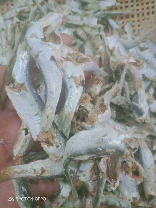 Ikan Asin Japuh Rebus | Lazada Indonesia