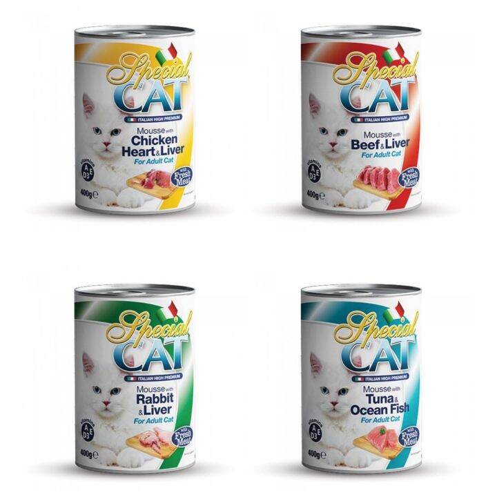 Special Cat Can wetfood | Lazada PH