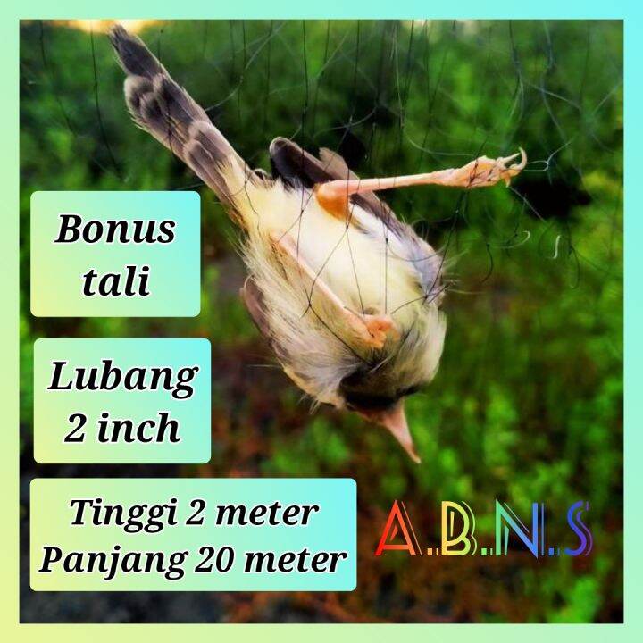 jaringan burung hitam lubang 2 inch 2x20 meter jaring burung jaring ...