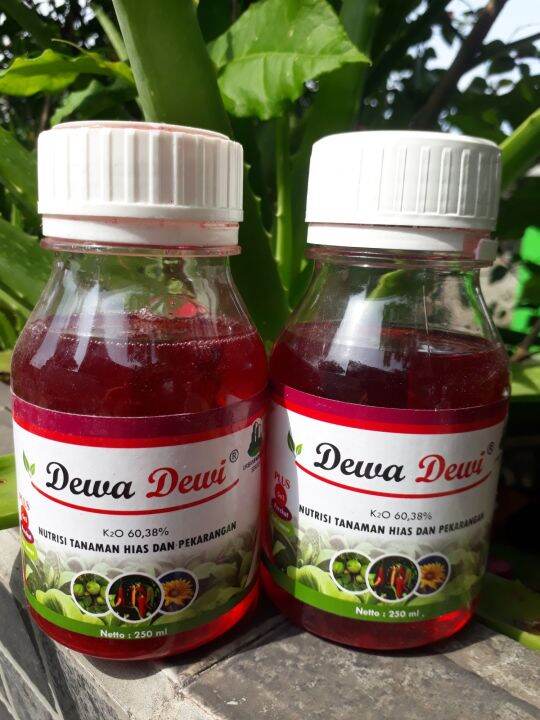Hormon Perangsang Bunga dan Buah Dewa Dewi 250ml | Lazada Indonesia