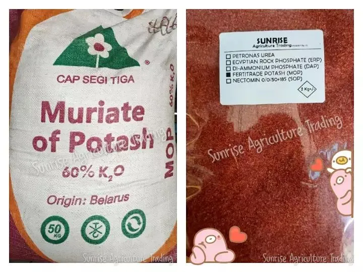2kg Muriate of Potash / Baja MOP / Potassium Chloride / Fertitrade ...