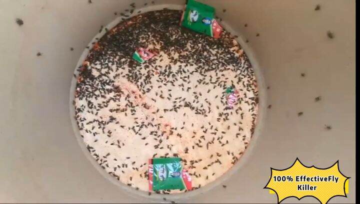 （Manila Ready Stock） Repel flies for 200 days. 100% Effective Fly ...